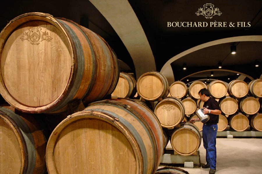 Bouchard French Burgundy Red – CultWine