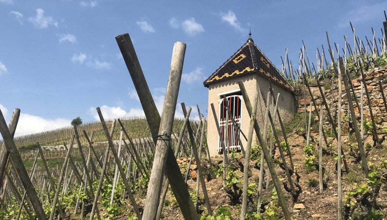 DOMAINE RENE ROSTAING RHONE – CultWine