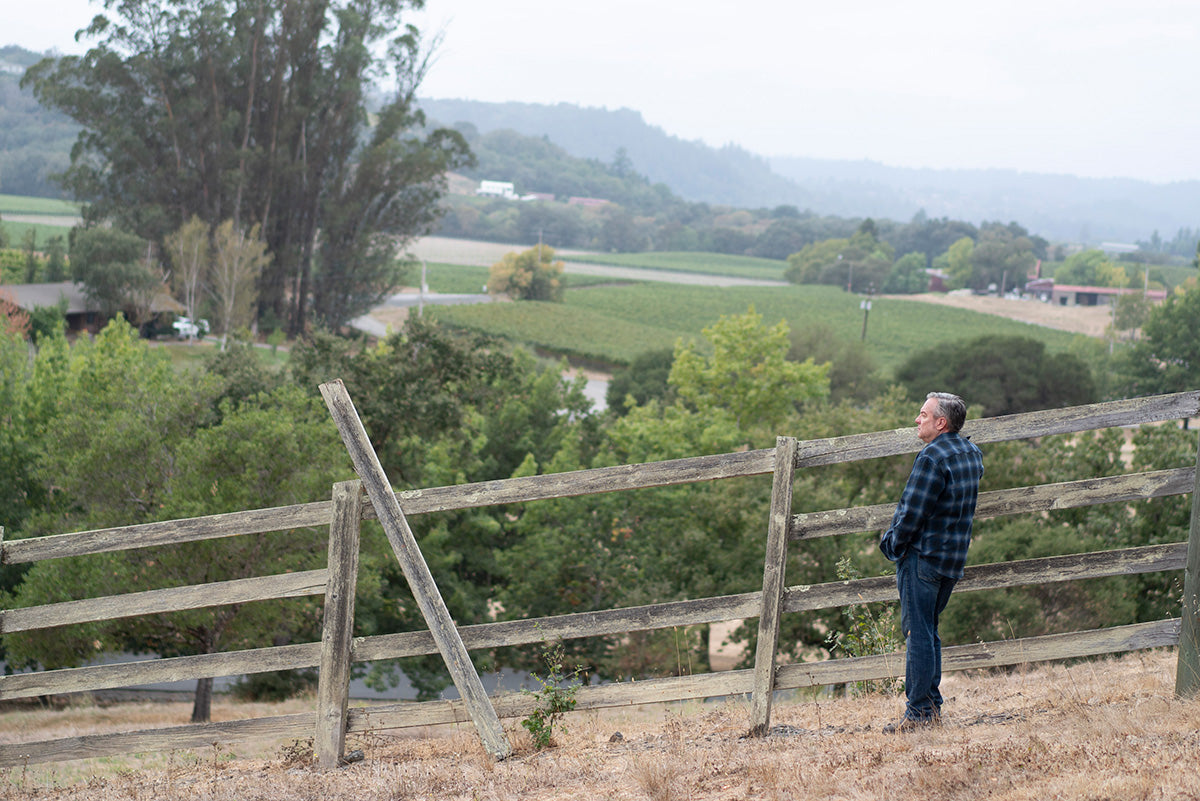 CIRQ PINOT NOIR – CultWine