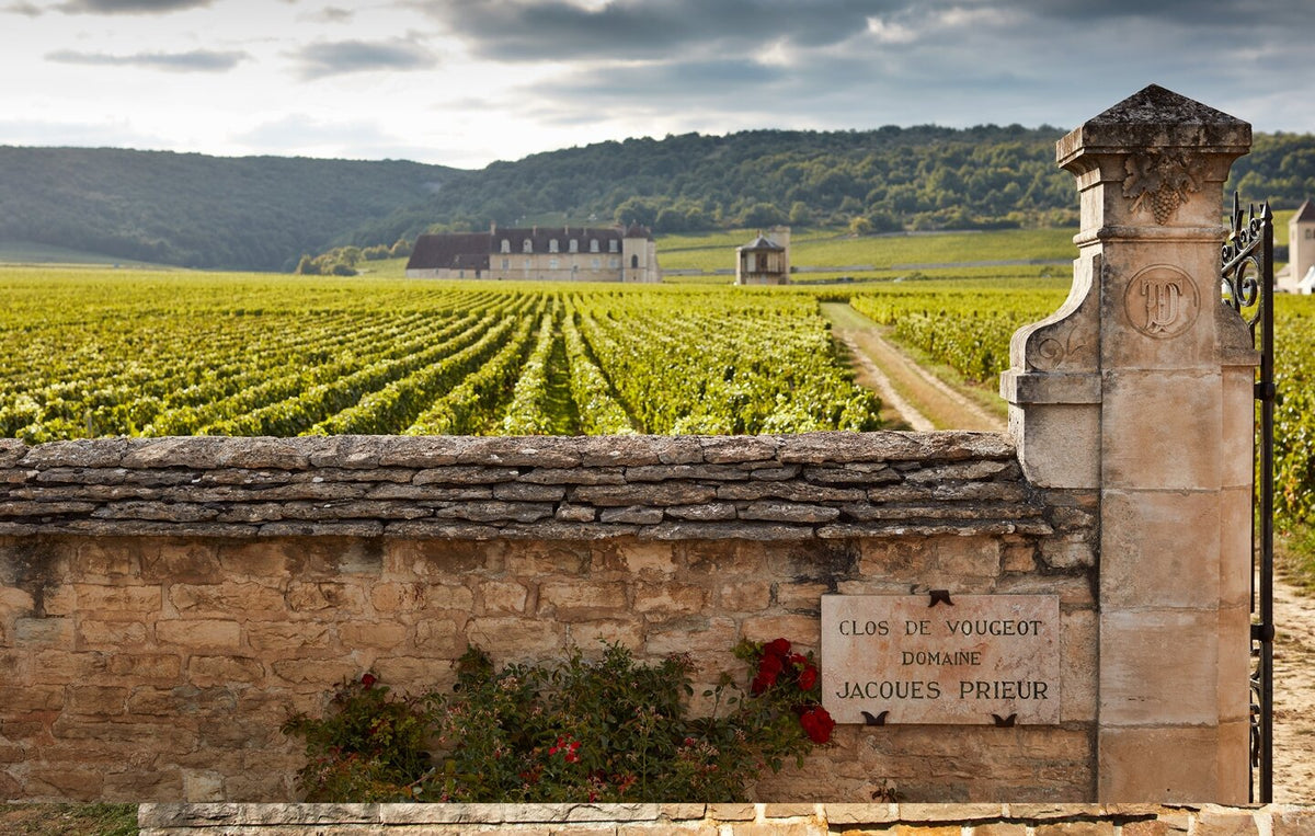 DOMAINE JACQUES PRIEUR BURGUNDY – CultWine