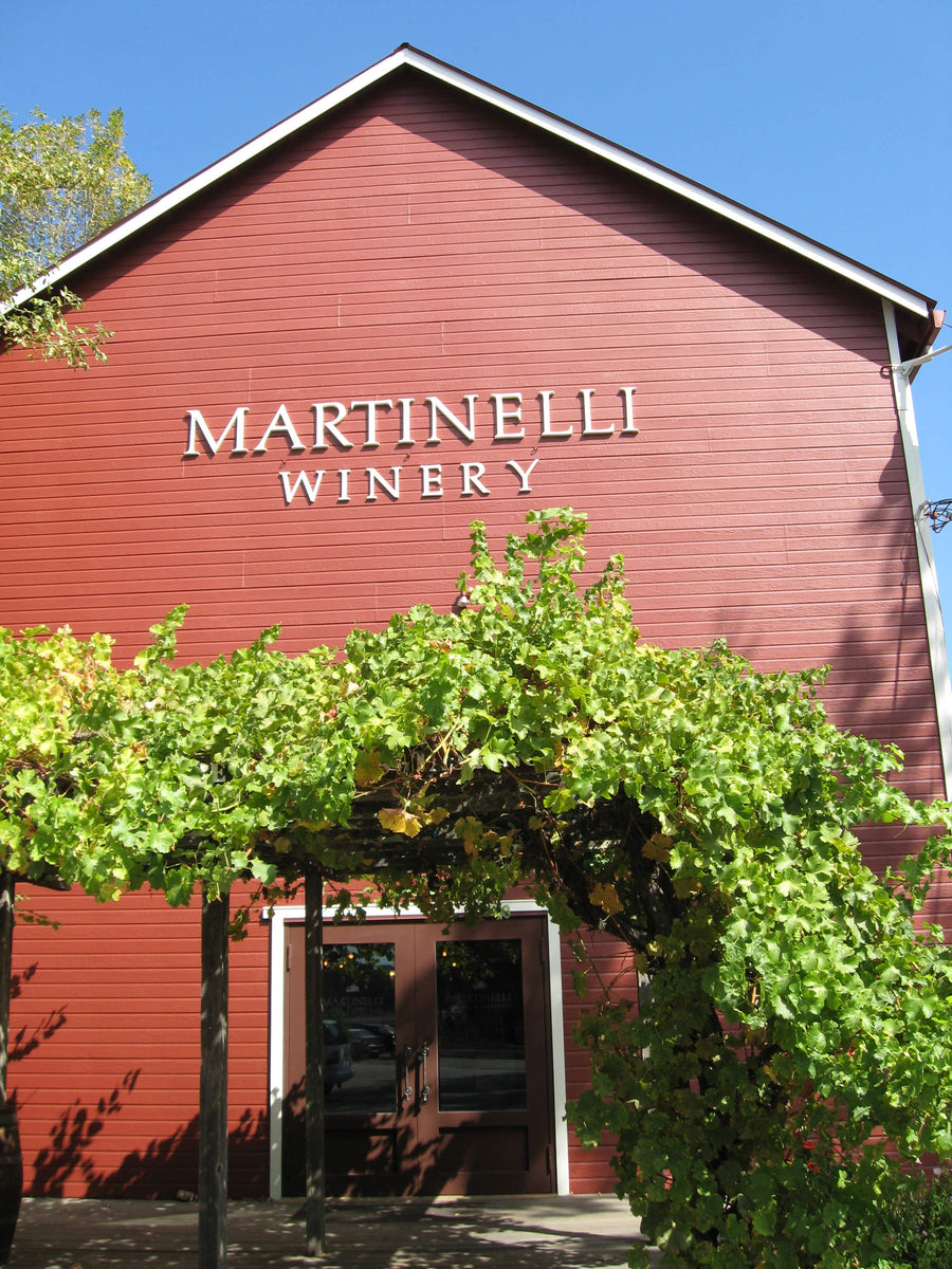 1994 Martinelli Jack Ass Vineyard Zinfandel - 94 pts! – CultWine